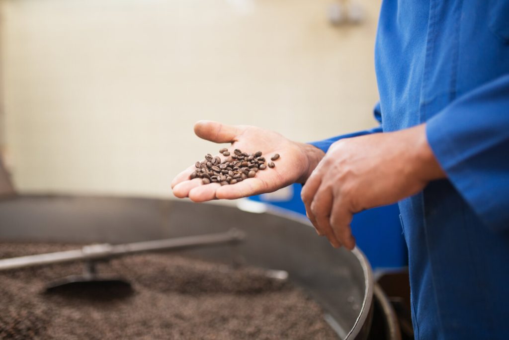 A Guide On How Coffee Beans Are Made