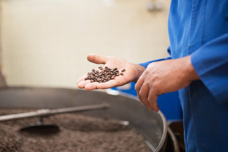 A Guide On How Coffee Beans Are Made